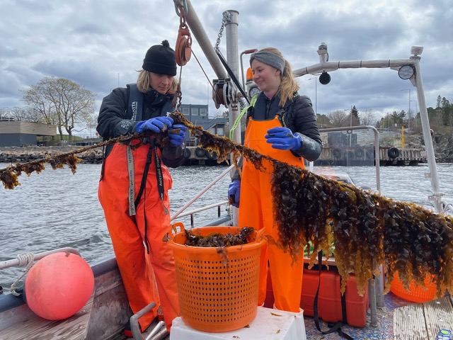 Marinreparatørene - Cool Blue Future